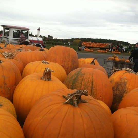 Lookout Farm - 18 tips from 1203 visitors