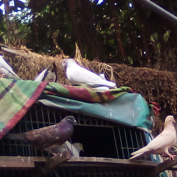 Rampura Bridge - Bridge in Dhaka