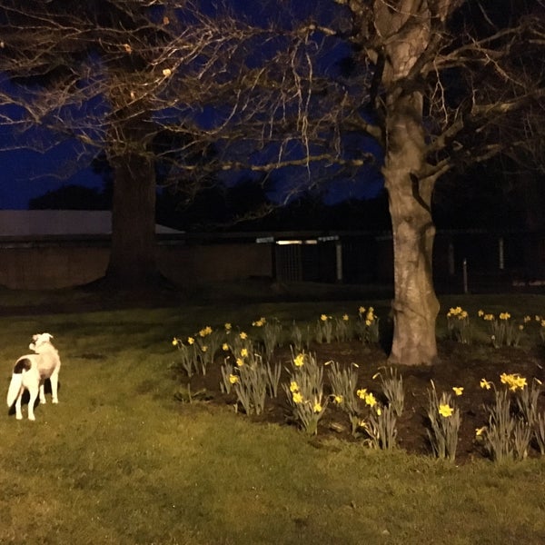 Photos at San Francisco County Fair Building - Golden Gate Park - 1 tip