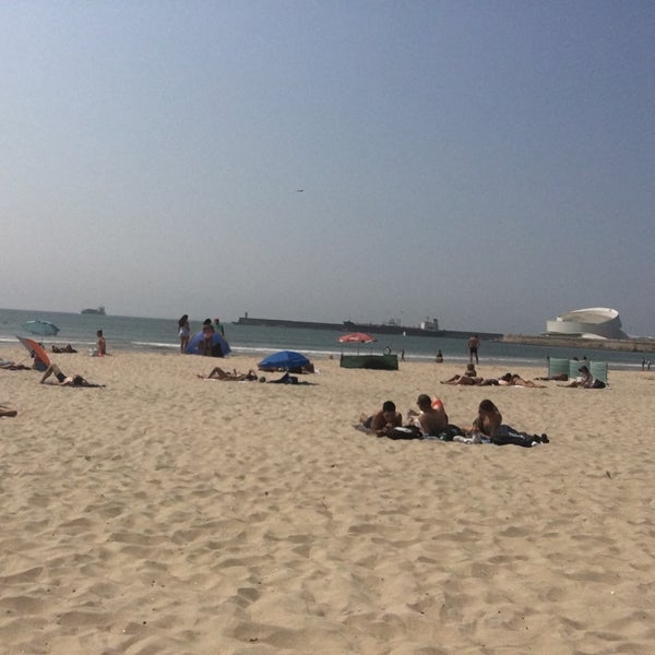 Godzilla surf's cool - Surf Spot