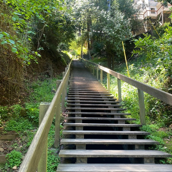 Dipsea Steps - 3 tips from 374 visitors