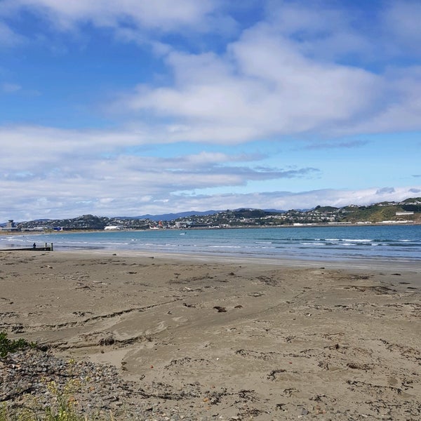 Photos at Lyall Bay Beach - Lyall Bay - 10 tips