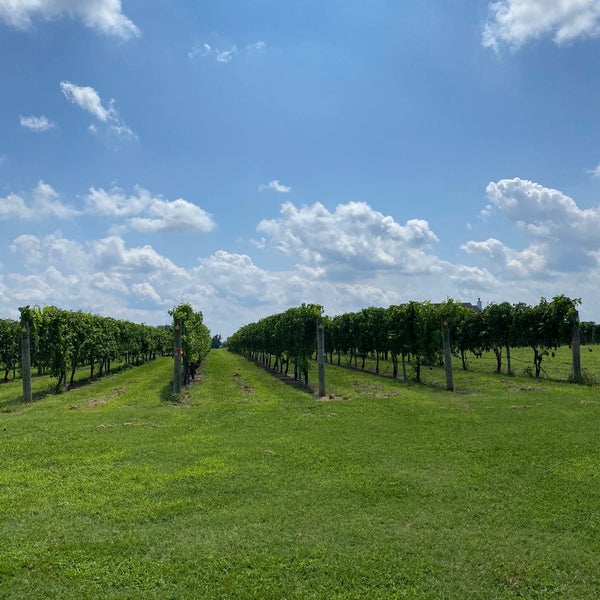 Auburn Road Vineyard & Winery - 10 tips from 515 visitors