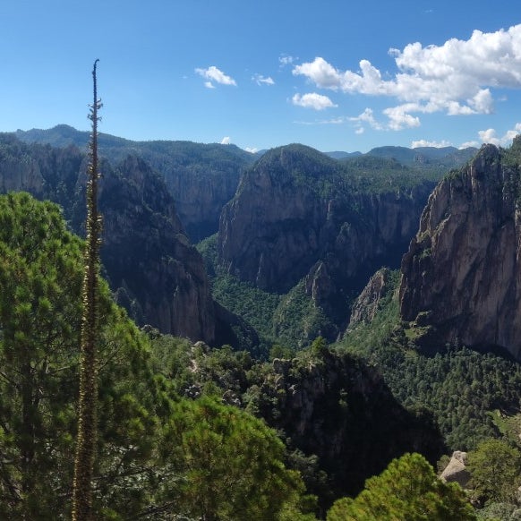 Cascada De Basaseachi - Mountain in Basaseachi