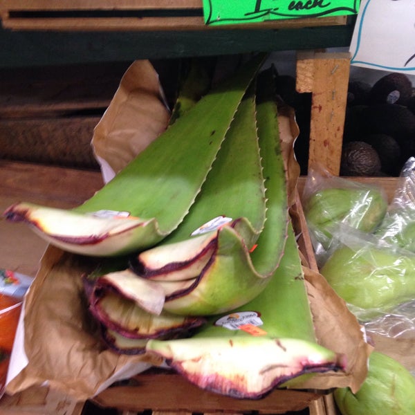 Grower's Outlet - 2 tips from 154 visitors