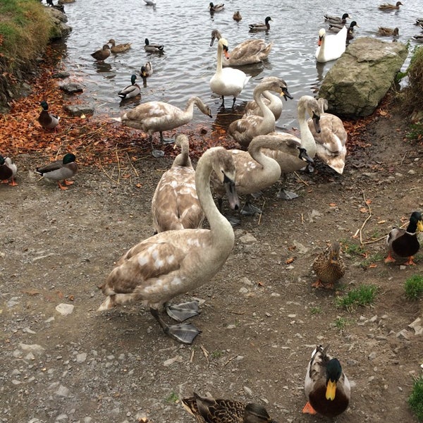 Templemore Town Park - Templemore, Co Tipperary