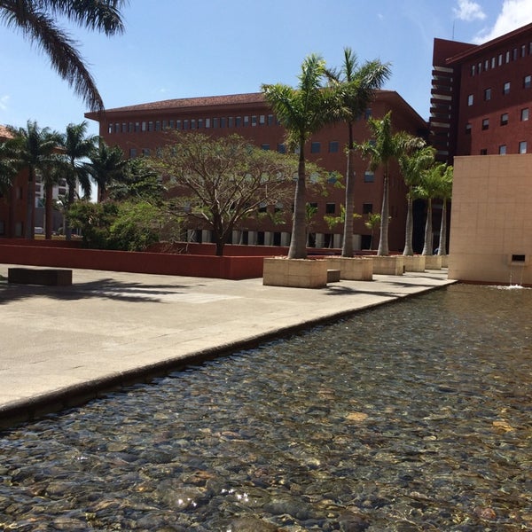 Photos at Plaza Roble - 14 tips