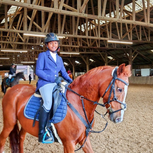 Manege Drie Pikkel - Stable