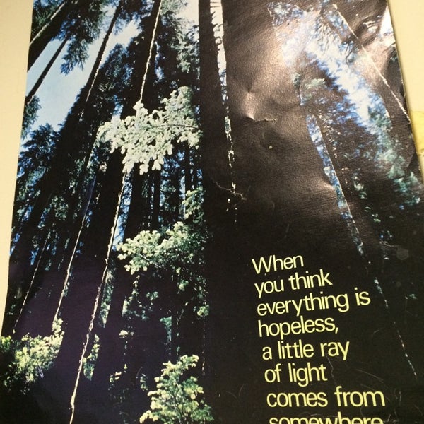 Warnell School of Forestry and Natural Resources, UGA - College ...