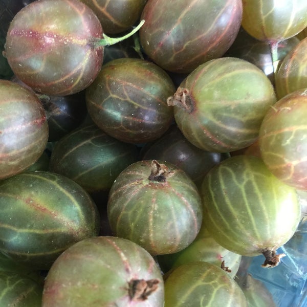 Fruitpaleis - 3 tips from 217 visitors