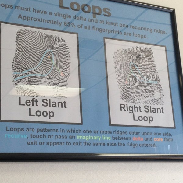 Left Slant Loop Fingerprint