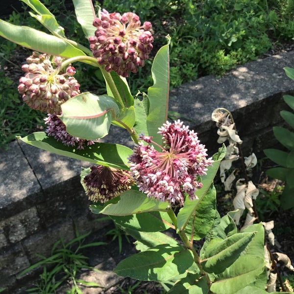 Isle a la Cache Museum/Preserve - History Museum in Romeoville