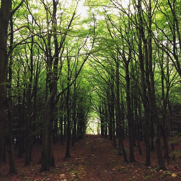 Kirkhill Forest - Dyce - 57 visitors