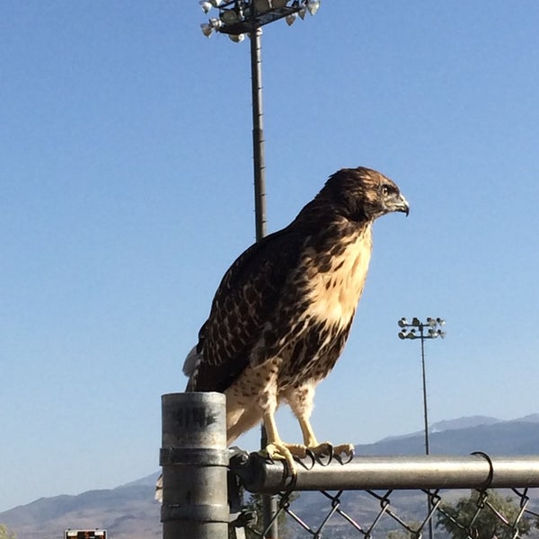 Photos at Reno Sports Complex - Reno, NV
