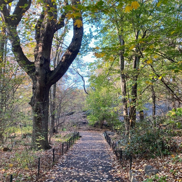 Photos at The Ramble - Central Park - New York, NY