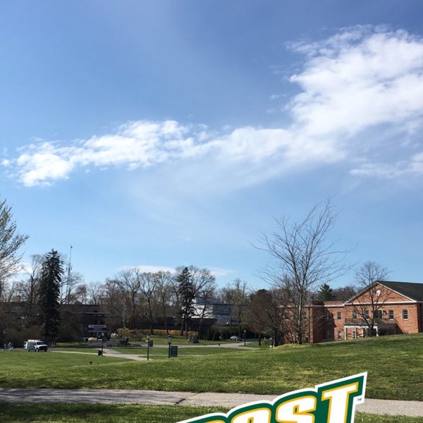 Photos at B. Davis Schwartz Memorial Library - Library in Greenvale