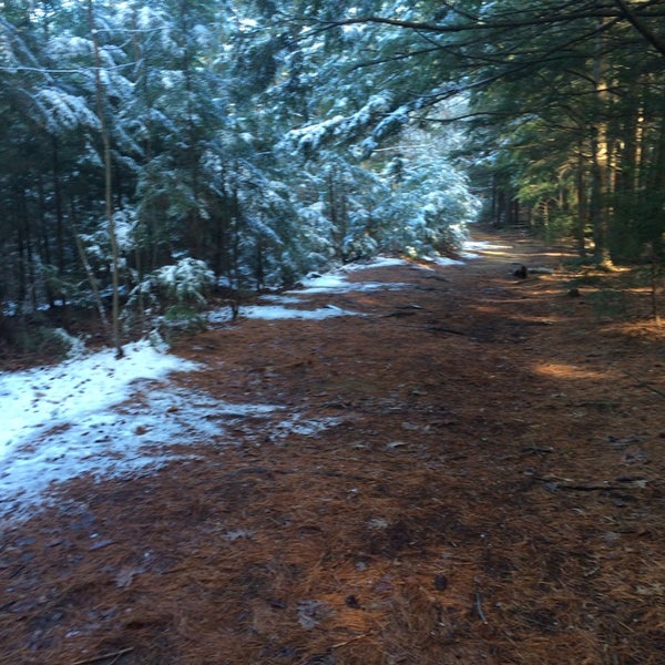 Isinglass River Park - Hiking Trail in Gonic