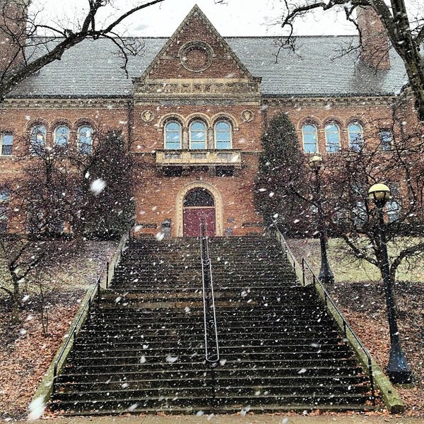 Carnegie Library Of Homestead