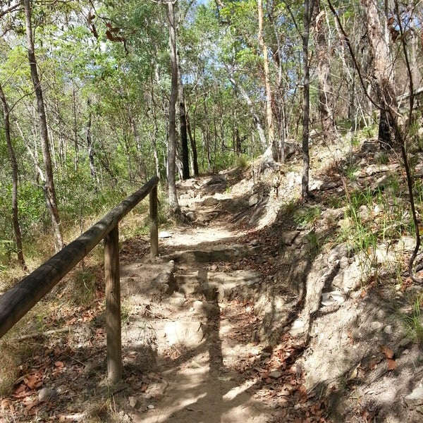 Photos at Simpson Falls Walk - Trail