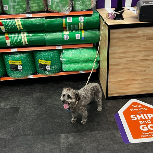 Ship Dog Fedex
