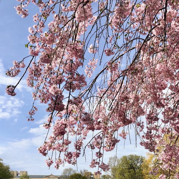 Photos at Wade Park Lagoon - University Circle - Cleveland, OH