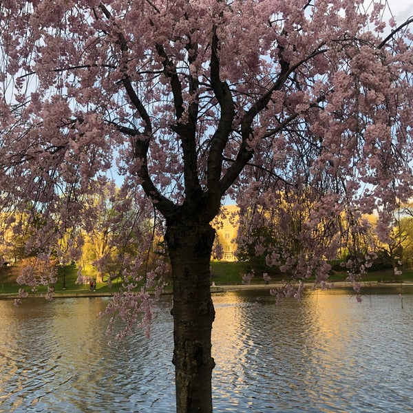 Photos at Wade Park Lagoon - University Circle - Cleveland, OH