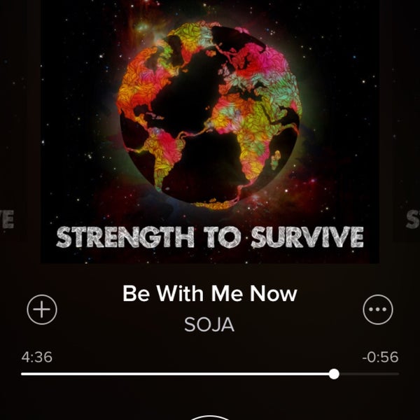 Soja Strength To Survive Wallpaper