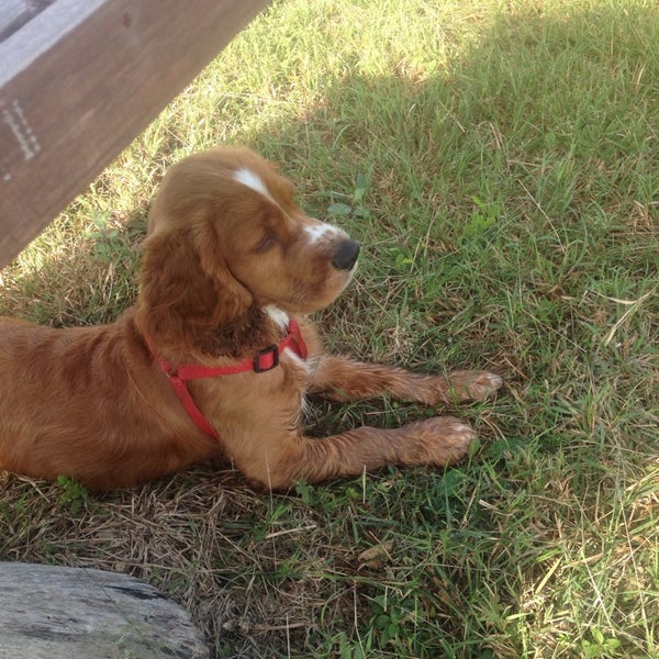 parque de los perros - Mérida, Yucatán