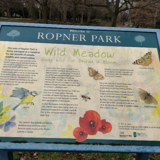 Ropner Park - 5 tips