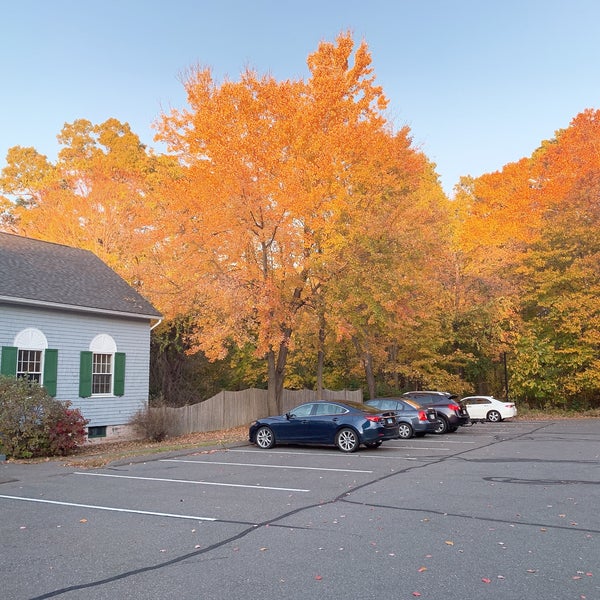 Storrs Library - Library