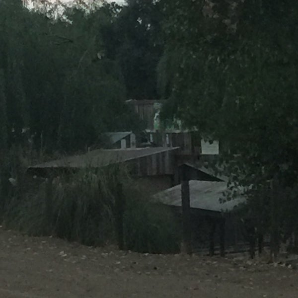 Fog Willow Farms - Farm