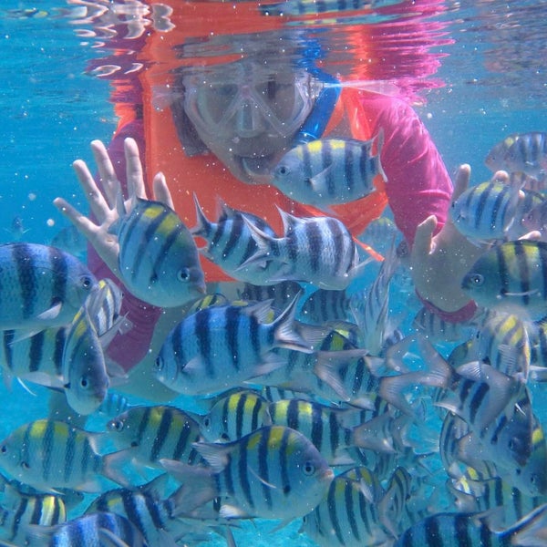 Nalusuan Island Resort & Marine Sanctuary - 2 tips from 166 visitors