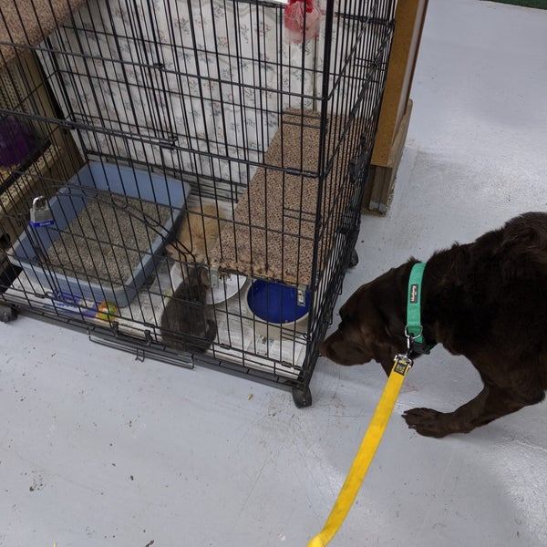 Teske's - Pet Supplies Store