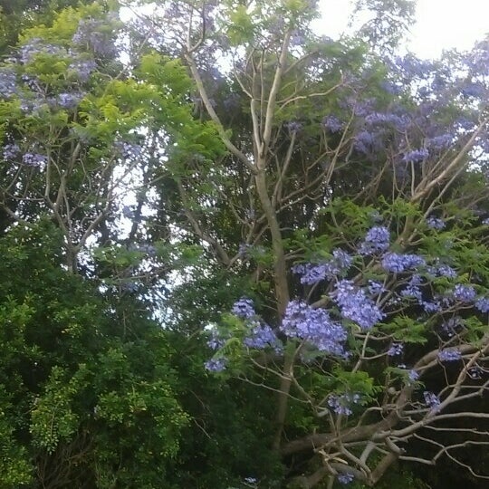 Taigum - Taigum, QLD