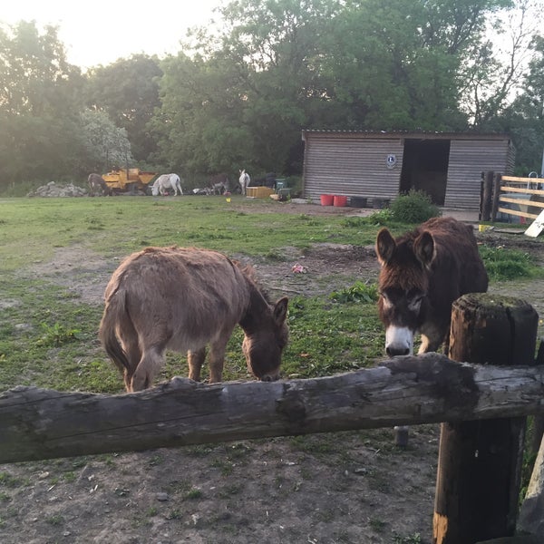 Lumb Farm - 19 visitors