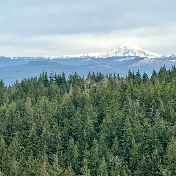 Larrabee State Park - 7 tips from 887 visitors