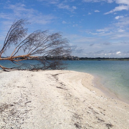 Photos at One Tree Island / Compass Key Island - Clearwater, FL