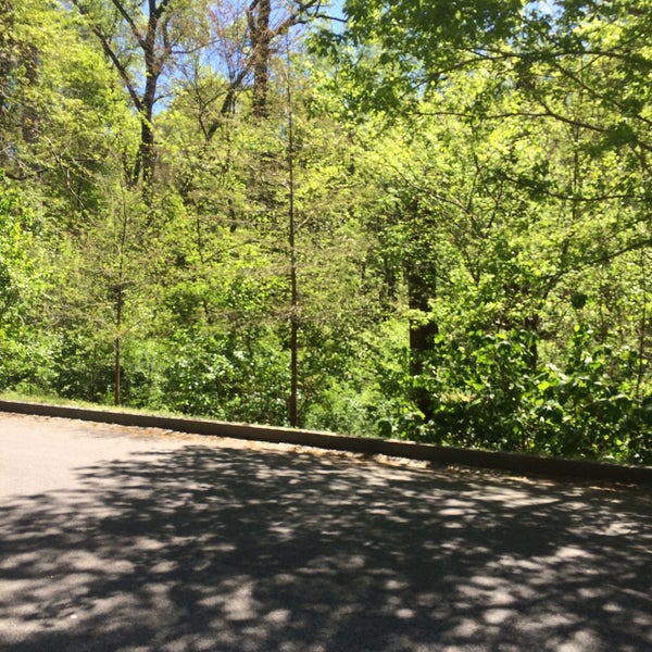 Photos at Deepdene Park - Park in Eastside