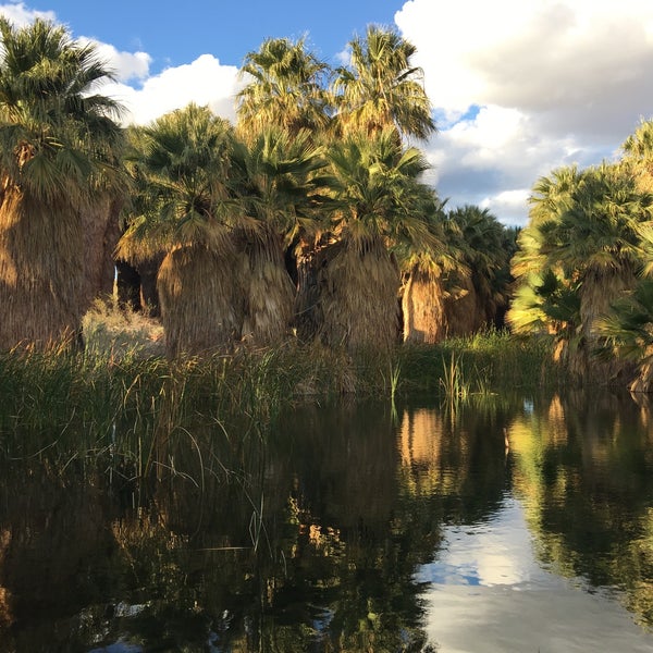 Thousand Palms Oasis Preserve - Nature Preserve