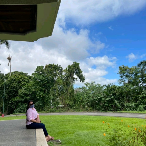 UPLB University Library - 12 tips from 494 visitors