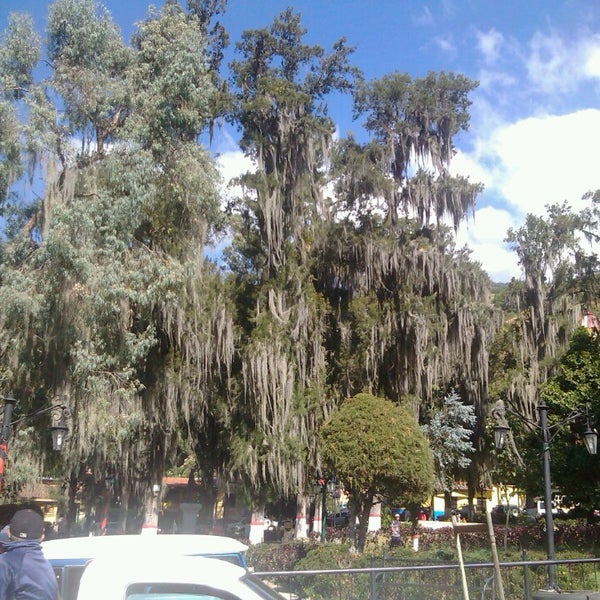 Tabay - Town in Tabay