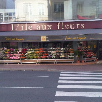 L'ile Aux Fleurs - 30 visitors