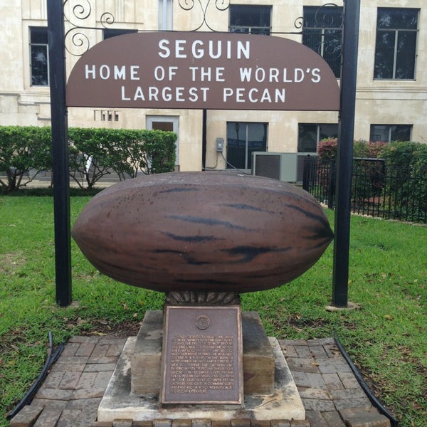 Oldest Largest Pecan - 21 visitors