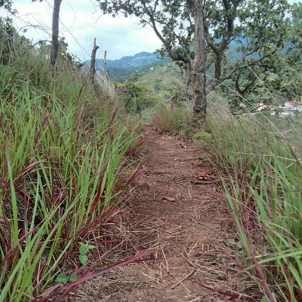 El Chimbo - El Chimbo, Francisco Morazán