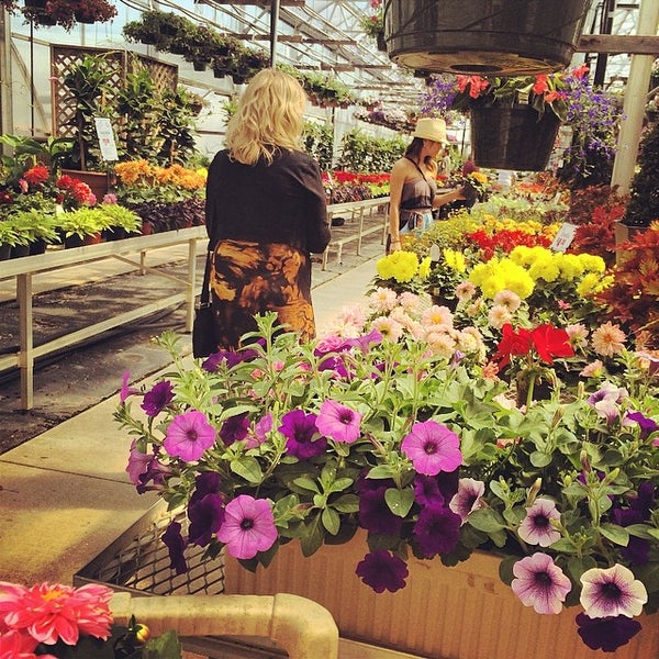 Town of Huntertown - Town