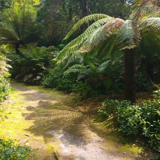 Derreen Gardens - Lauragh
