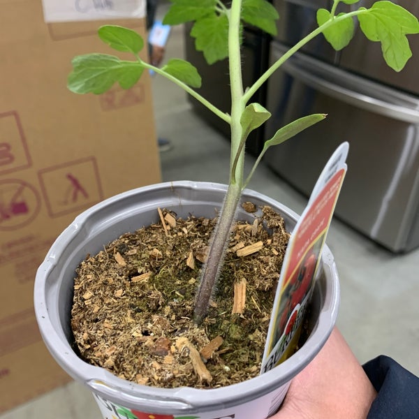 The Home Depot - Hardware Store in Calgary