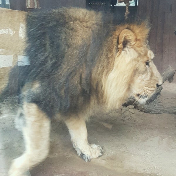 Photos at Tehran Zoo | باغ وحش تهران - منطقه ۵ - Eram Park