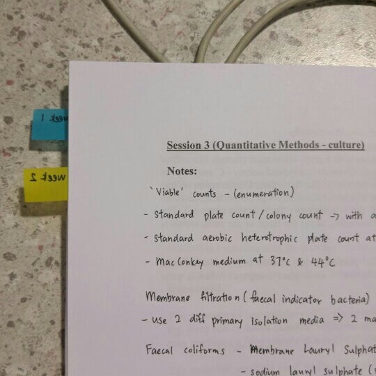 Pandon Building - Camden Street