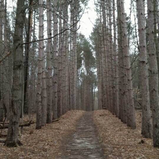 Lillian Anderson Arboretum - Hiking Trail in Kalamazoo